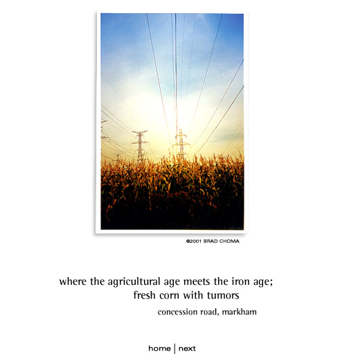 brad choma: lomo gallery